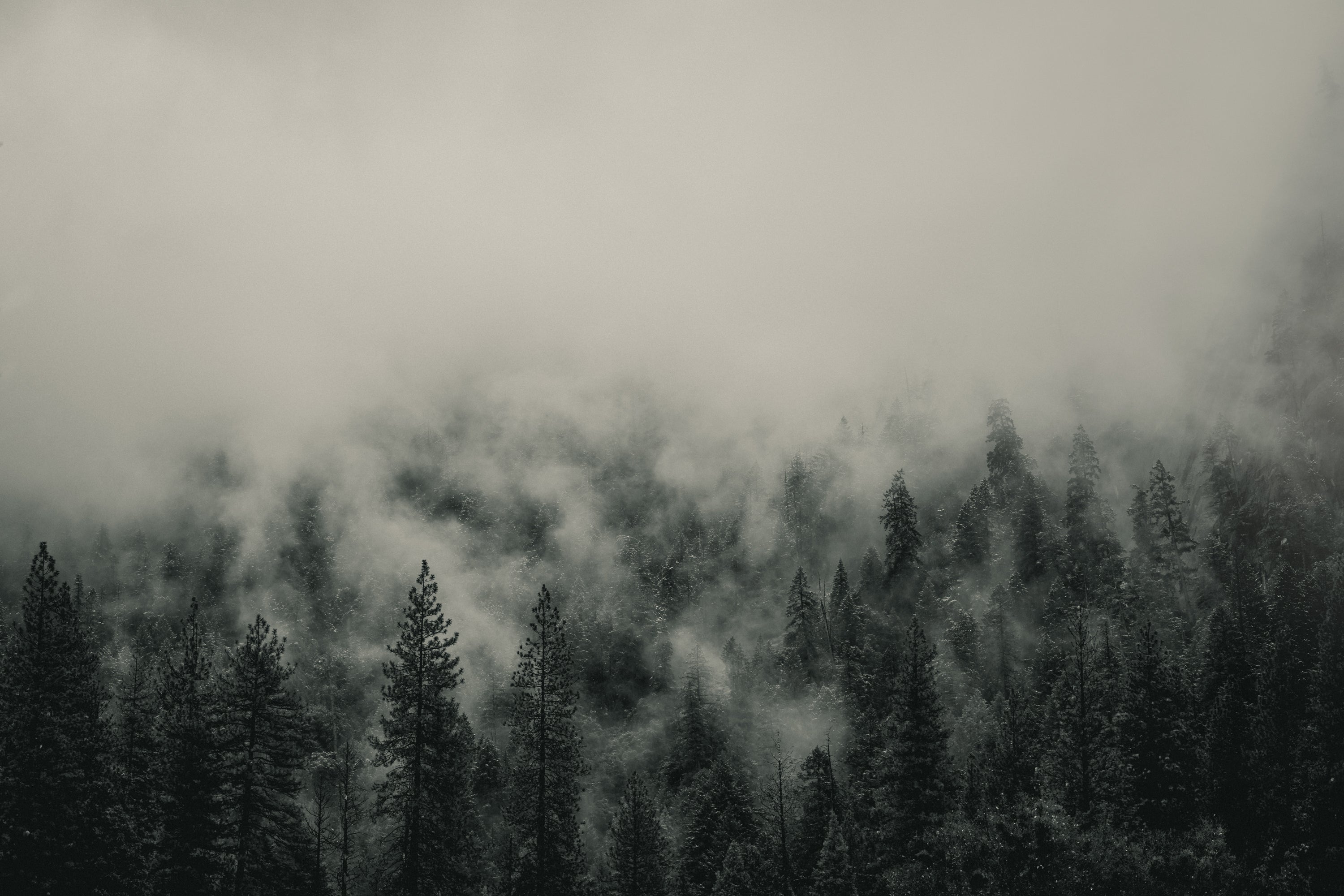 EMDR | Presets Collection – elmundoderabbit